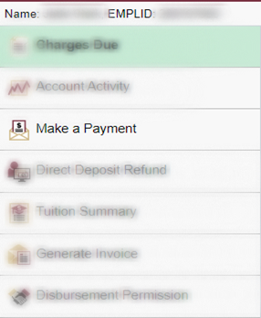 Make a Payment | Controller's Office